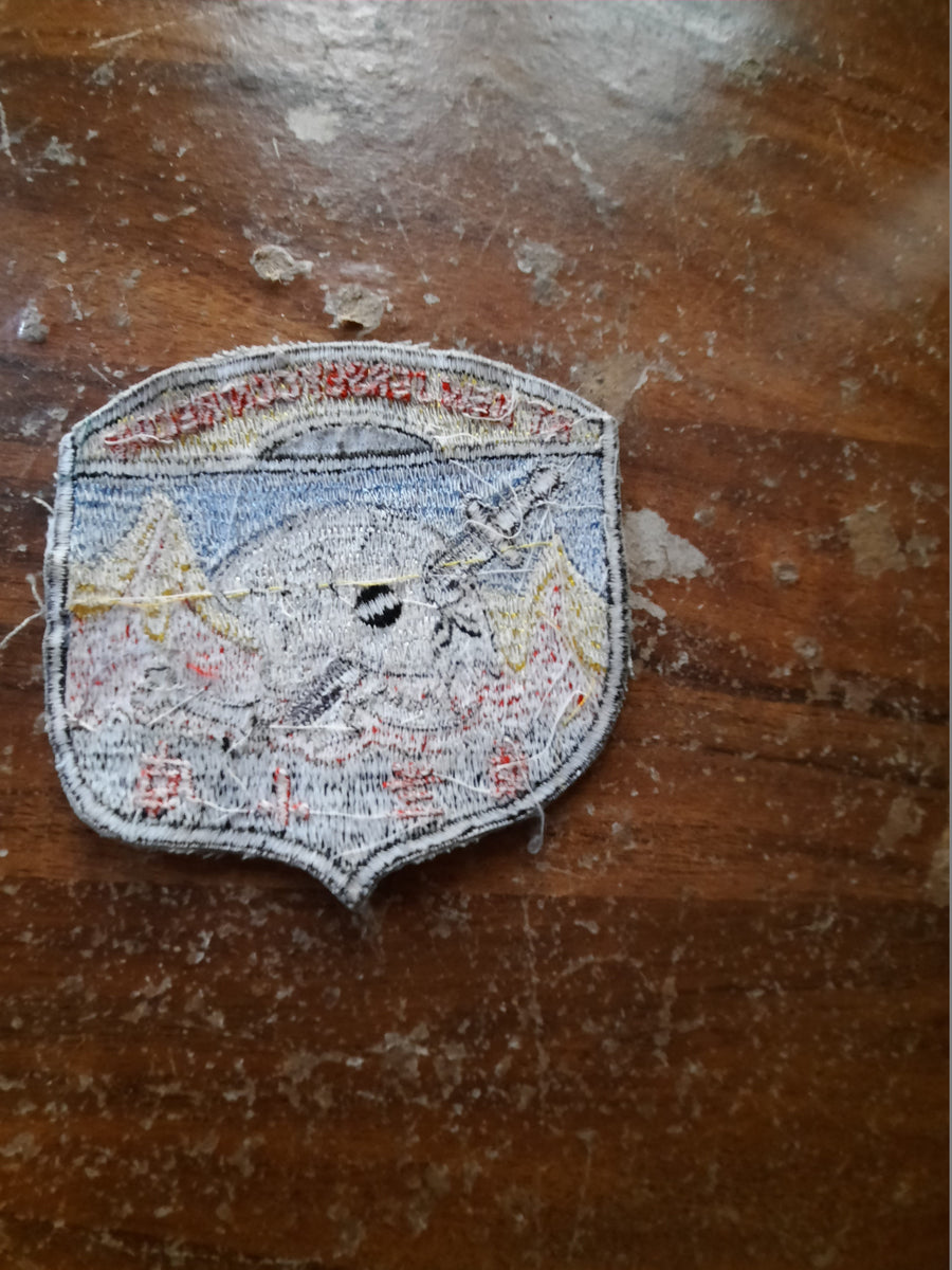 Vietnam war US ArmySpecial forces Recon team patch – Bat 21 Militaria ...